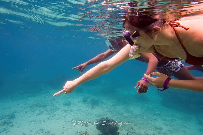 Boat Trip for Snorkeling Discovery of Corals - Group Size and Atmosphere