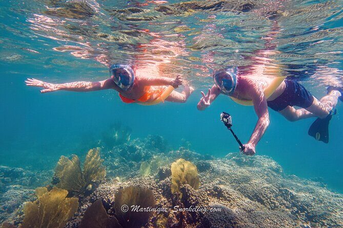 Boat Trip for Snorkeling Discovery of Corals - Frequently Asked Questions