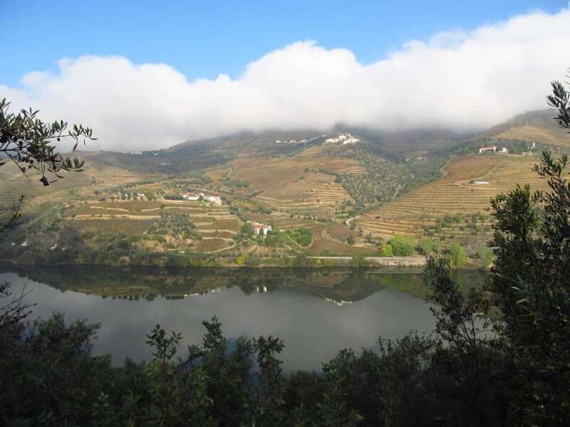 Boat trip - Foz do Távora - Discovering the Douro River: What You Can Expect