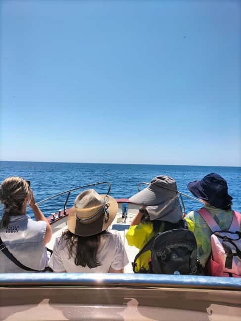 Boat trip from Castro to Malepasso - Key Points