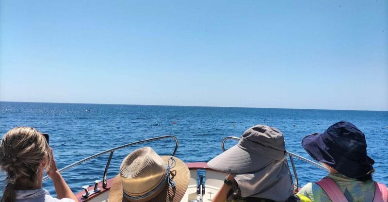 Boat trip from Castro to Malepasso - The Sum Up: Who Should Consider This Tour?