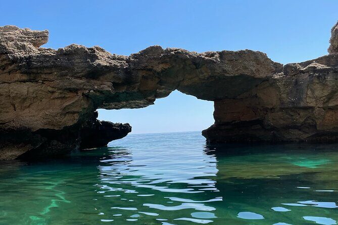 Boat Trip: Grotta del Fico, Cala Mariolu, Gabbiani & Biriala - Final Thoughts