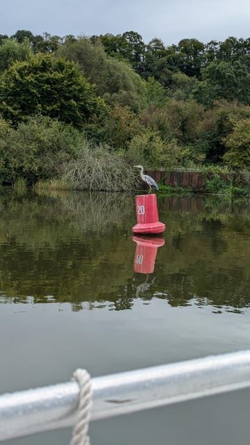 Boat trip on the Canal de la Rance - Exploring the Canal de la Rance: A Closer Look at the Experience