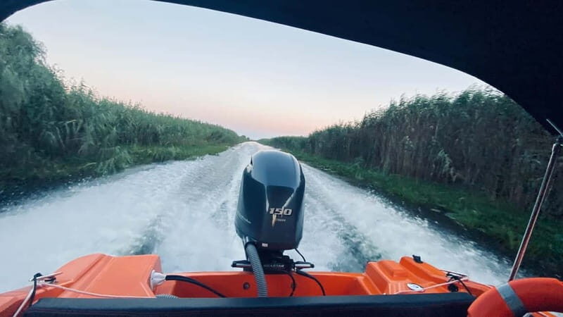 Boat Trip to Caraorman Forest  Danube Delta (5-6 hours) - Dive into the Danube Delta: An Authentic Boat Tour Experience