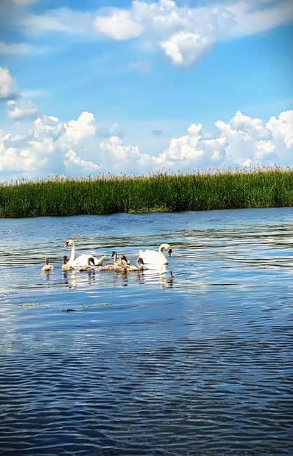 Boat Trip to Caraorman Forest  Danube Delta (67 hours) - FAQ
