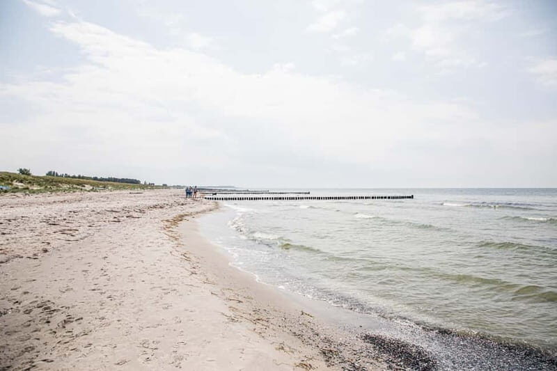 Boat trip to the Island of Hiddensee from Zingst - Who Is This Trip Best For?