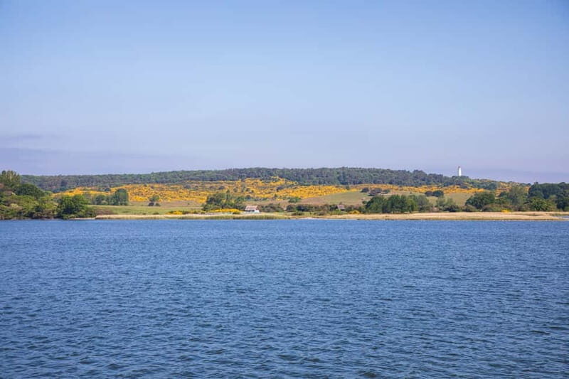 Boat trip to the Island of Hiddensee from Zingst - FAQs
