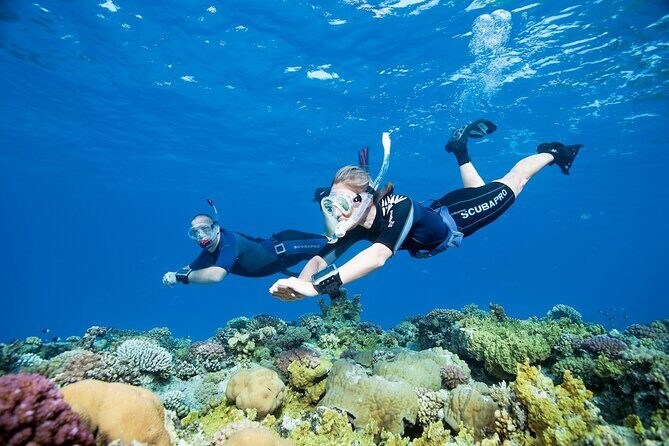 Boat Trip with Snorkel - Introduction