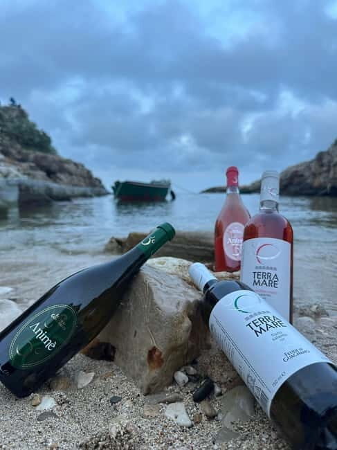 Boat trip with tasting of typical Apulian products - An In-Depth Look at the Experience