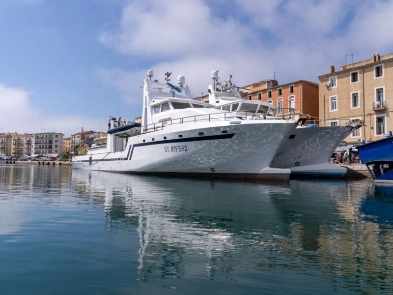 Boat walk in Sete on the singular island 1 hour - Final Thoughts: Is This Experience Worth It?