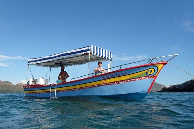 Boating along the coastline of San Carlos with a Marine Biologist - An In-Depth Look at the San Carlos Coastline Boat Tour