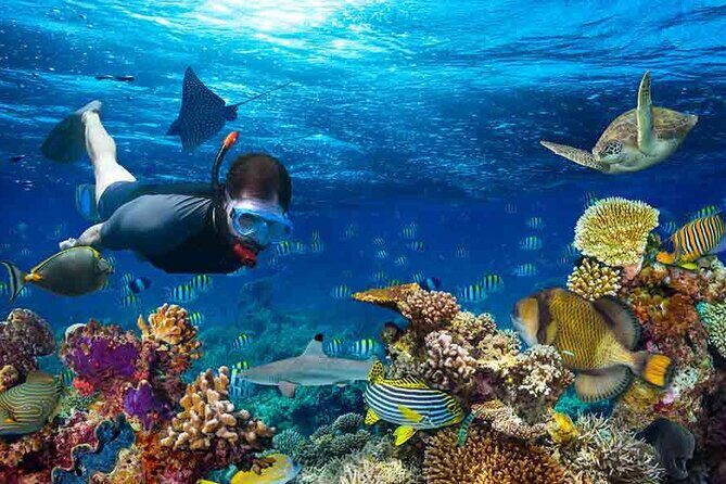 Boatride & Snorkeling then Margaritaville Hipstrip Activity - The Sum Up: The Perfect Mix of Fun and Convenience