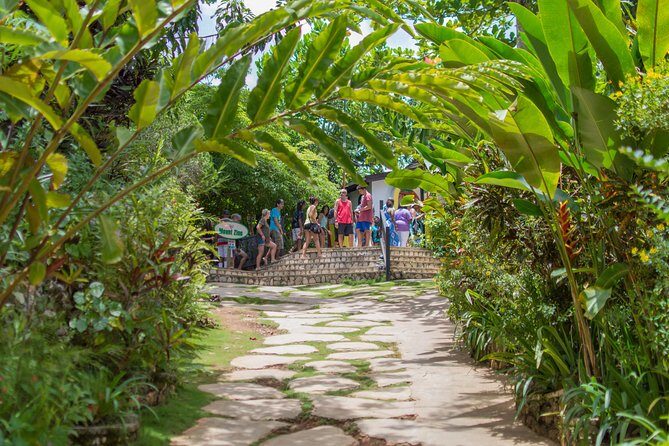 Bob Marley 9 Mile Tour Admission - Practical Details: Timing, Cost, and Group Size