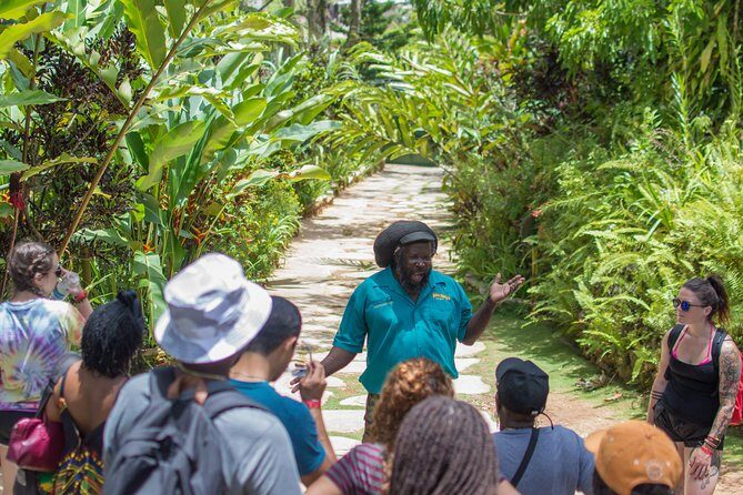 Bob Marley 9 Mile Tour Admission - The Experience on the Ground: What You’ll Actually See and Do