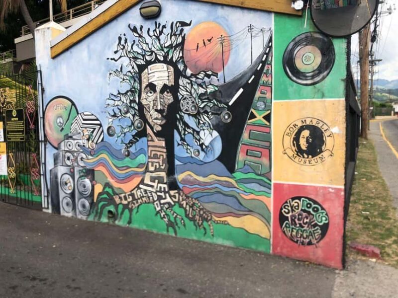 Bob marley 9 Miles & Dunns River Tour from Ocho Rios - Who Will Love This Tour?