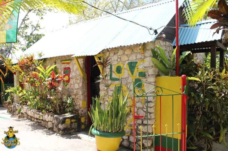 Bob Marley Birthplace and Dunns River Falls Private Tour - Key Points