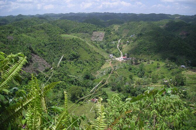 Bob Marley Birthplace, Nine Miles Tour from Ocho Rios - The Sum Up