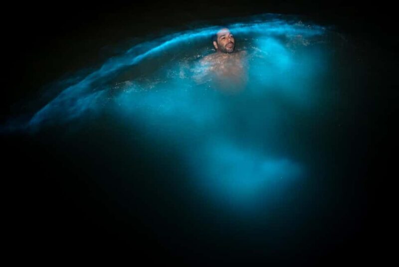 Bob Marley, Blue Hole, Secret Falls and Luminous Lagoon Tour - Who Will Love This Tour?