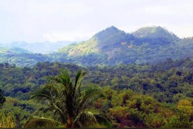 Bob Marley Nine Mile Home Private Tour from Montego Bay - Key Points