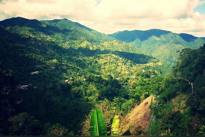 Bob Marley Nine Mile Home Private Tour from Montego Bay - The Itinerary in Detail