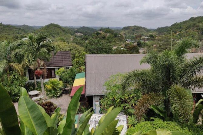Bob Marley Nine Mile Private Tour - The Experience at Nine Mile: What You Can Expect