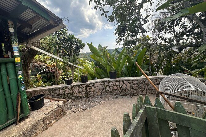 Bob Marley Nine Mile Sightseeing Tour from Ocho Rios - The Sum Up