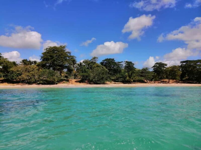 Boca de Yuma Tour - Dominican Cultural Immersion - What Travelers Say