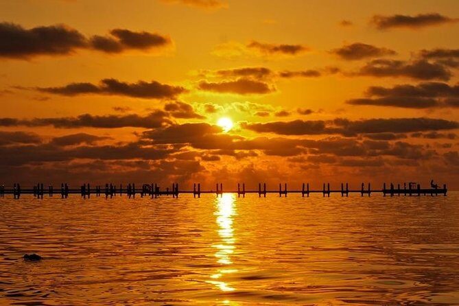 Boca Grande Inshore Fishing Charter - A Deep Dive into Boca Grande Inshore Fishing