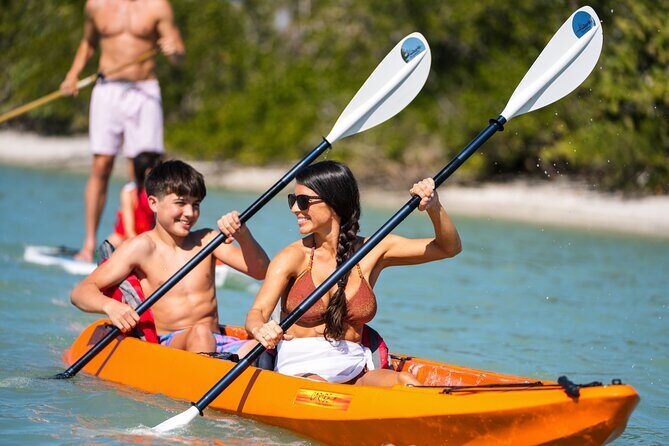 Boca Grande Kayaking Tour - Introducing the Boca Grande Kayaking Tour: A Close-Up with Nature