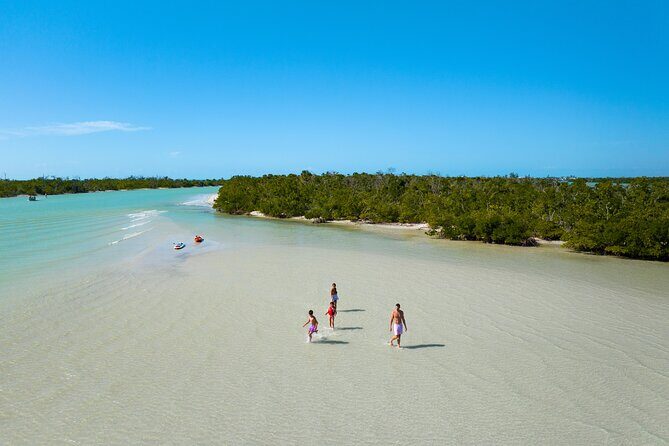 Boca Grande Kayaking Tour - Key Points