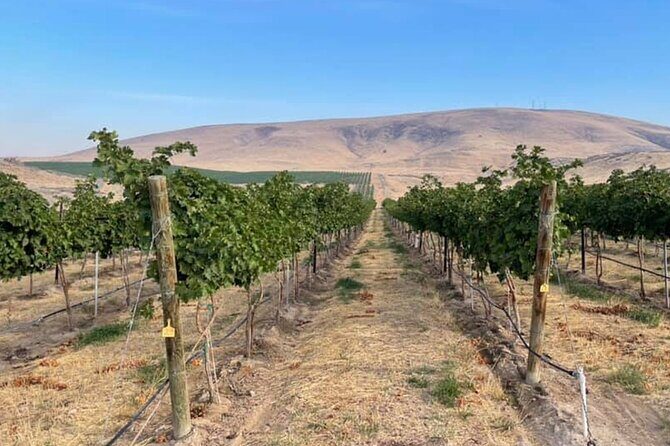 Bodacious Bordeaux Wine Tasting Pass in Woodinville - Discovering Woodinville’s Bordeaux Gems