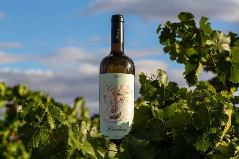 BODEGAS PANDORA: tour through the vineyards and winery with wine tasting. - Introduction: What to Expect from BODEGAS PANDORA