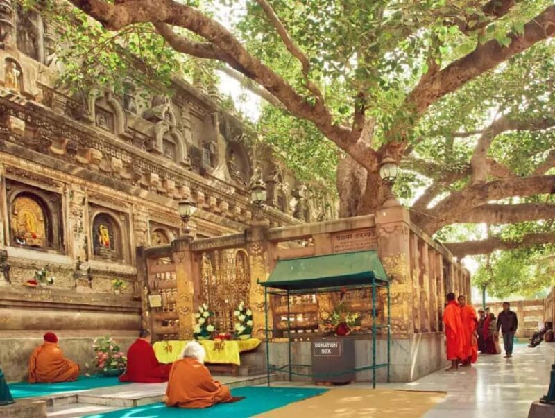 Bodhgaya: Buddhist Pilgrimage Temple & Monastery Day Tour - Key Points