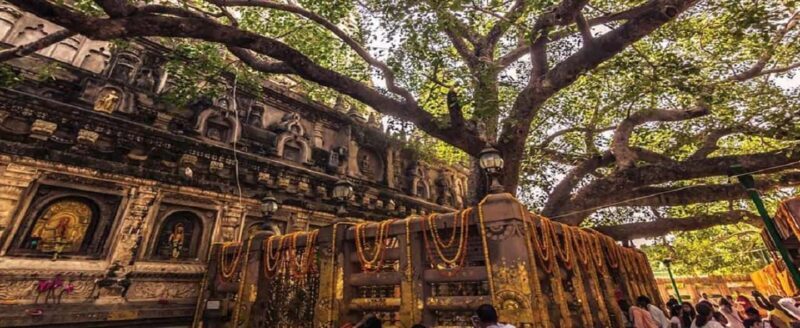 Bodhgaya: Buddhist Pilgrimage Temple & Monastery Day Tour - FAQ