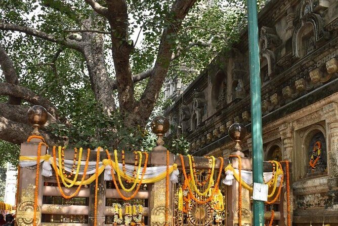 Bodhgaya Day Tour (Hotel Pickup) - Who Will Love This Tour?