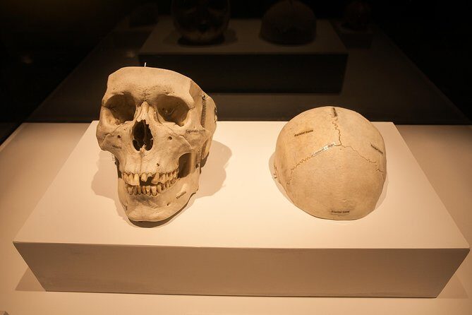 Bodies The Exhibition at the Luxor Hotel and Casino - The Practical Side: Value, Timing, and Tips