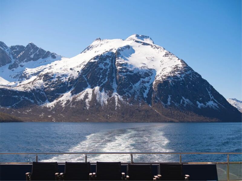 Bodø: Beiar Fjord & Saltstraument Cruise - Key Points