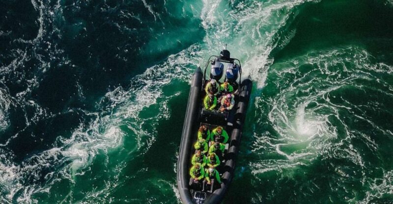 Bodø: Saltstraumen Sea Eagle Trip by RIB - A Thrilling Look at the Saltstraumen Sea Eagle Trip by RIB in Bodø