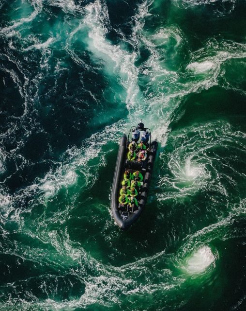 Bodø: Saltstraumen Sea Eagle Trip by RIB - Key Points