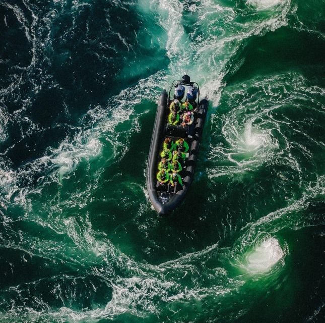 Bodø: Saltstraumen Sea Eagle Trip by RIB - The Itinerary in Detail
