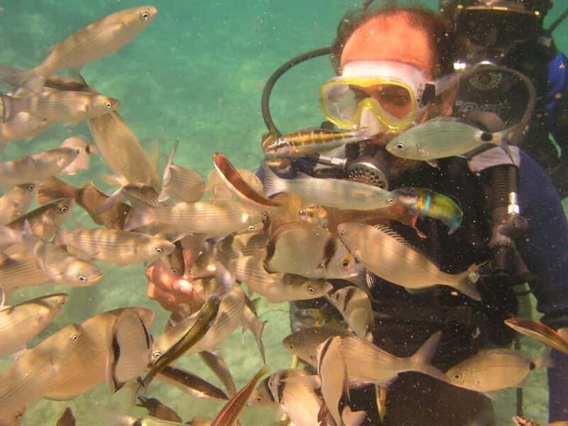 Bodrum diving day for advanced and beginner divers - A Practical Guide to Bodrum’s Underwater World