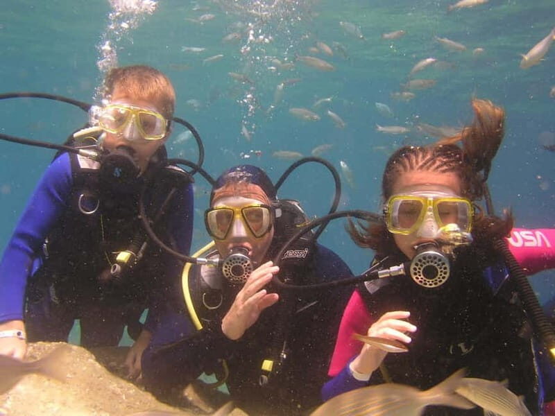 Bodrum diving day for advanced and beginner divers - The Sum Up