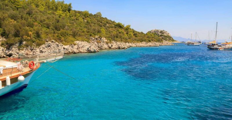 Bodrum: Full-Day Boat Trip with Lunch - Authentic Reviews: What Travelers Say