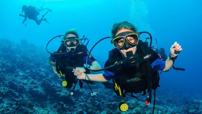 Bodrum: Full-Day Scuba Diving Tour - What to Expect on Your Bodrum Diving Day