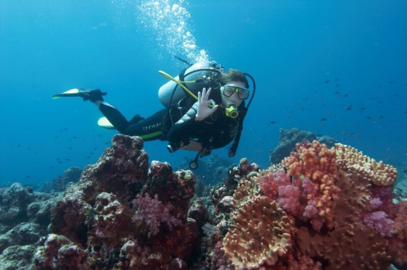 Bodrum: Full-Day Scuba Diving Tour - Genuine Experiences from Travelers
