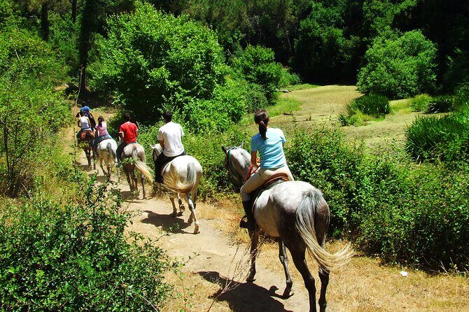Bodrum Horse Riding Experience w/ Hotel Transfer Service - An In-Depth Look at the Bodrum Horse Riding Tour
