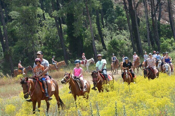 Bodrum Horse Riding Experience w/ Hotel Transfer Service - Who Should Consider This Tour?