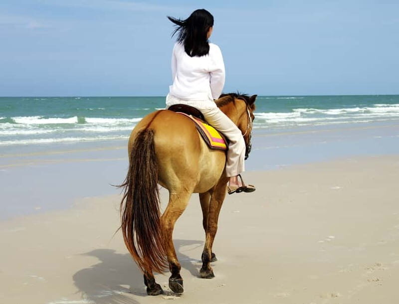 Bodrum: Horseback Riding Experience with Hotel Transfer - Authentic Perspectives from Travelers