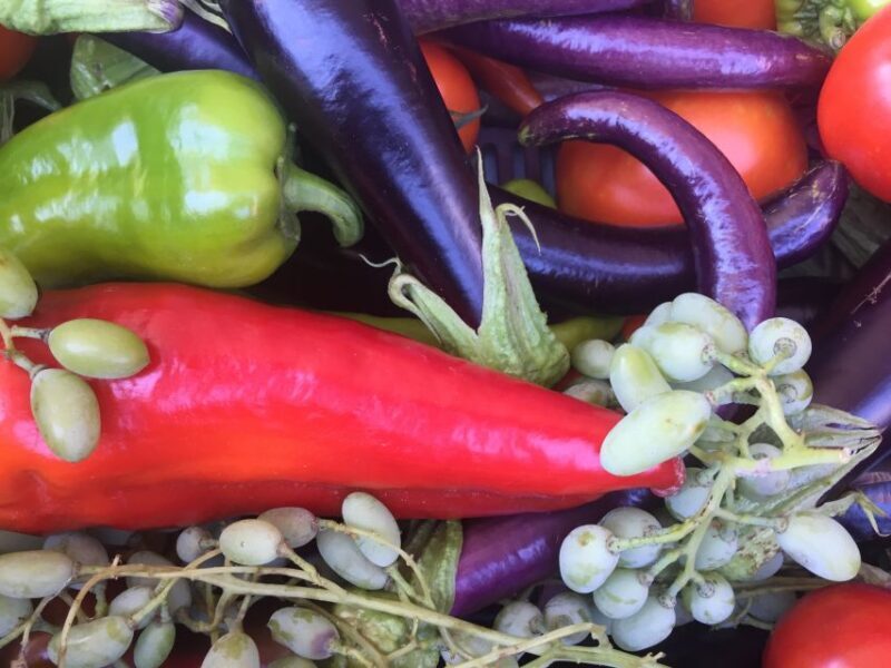 Bodrum: Market Visit and Cooking Class - What the Reviews Say