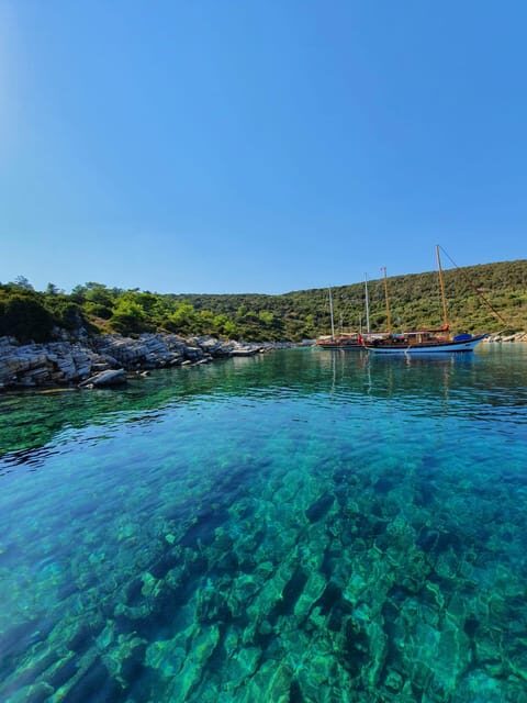 Bodrum: Private Motoryacht Tour with swimming stops & lunch - Key Points